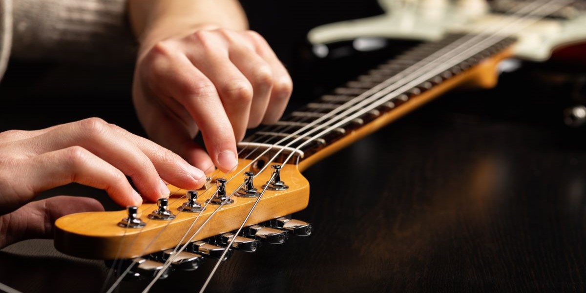 All About Strings: The Basics Of Stringed Instruments | Long & McQuade