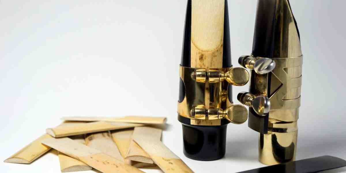 Getting A Read On Reed Mouthpieces | Long & McQuade